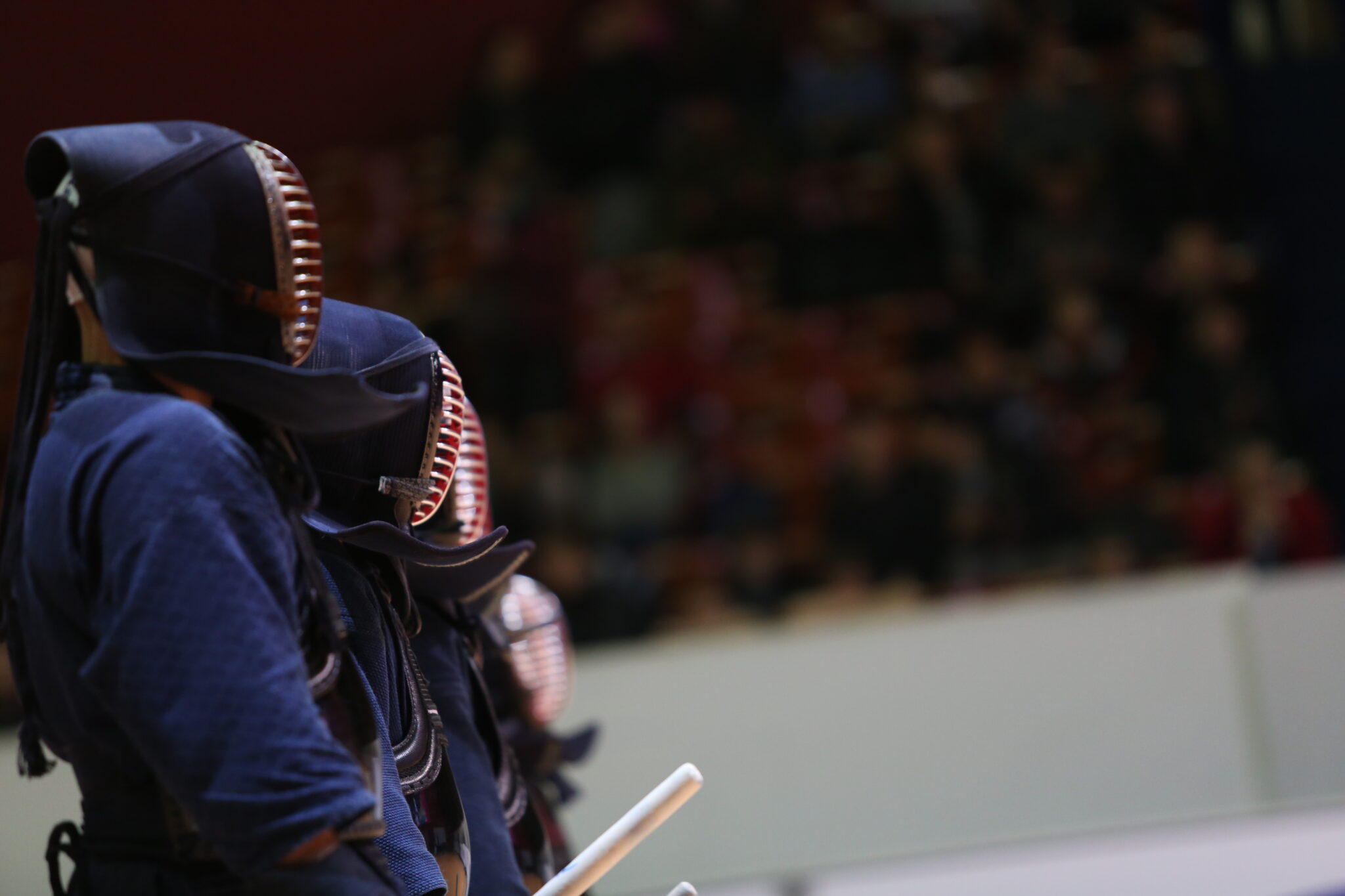 Riyadh 2023 World Combat Games - Get to know the sports - Part III of ...